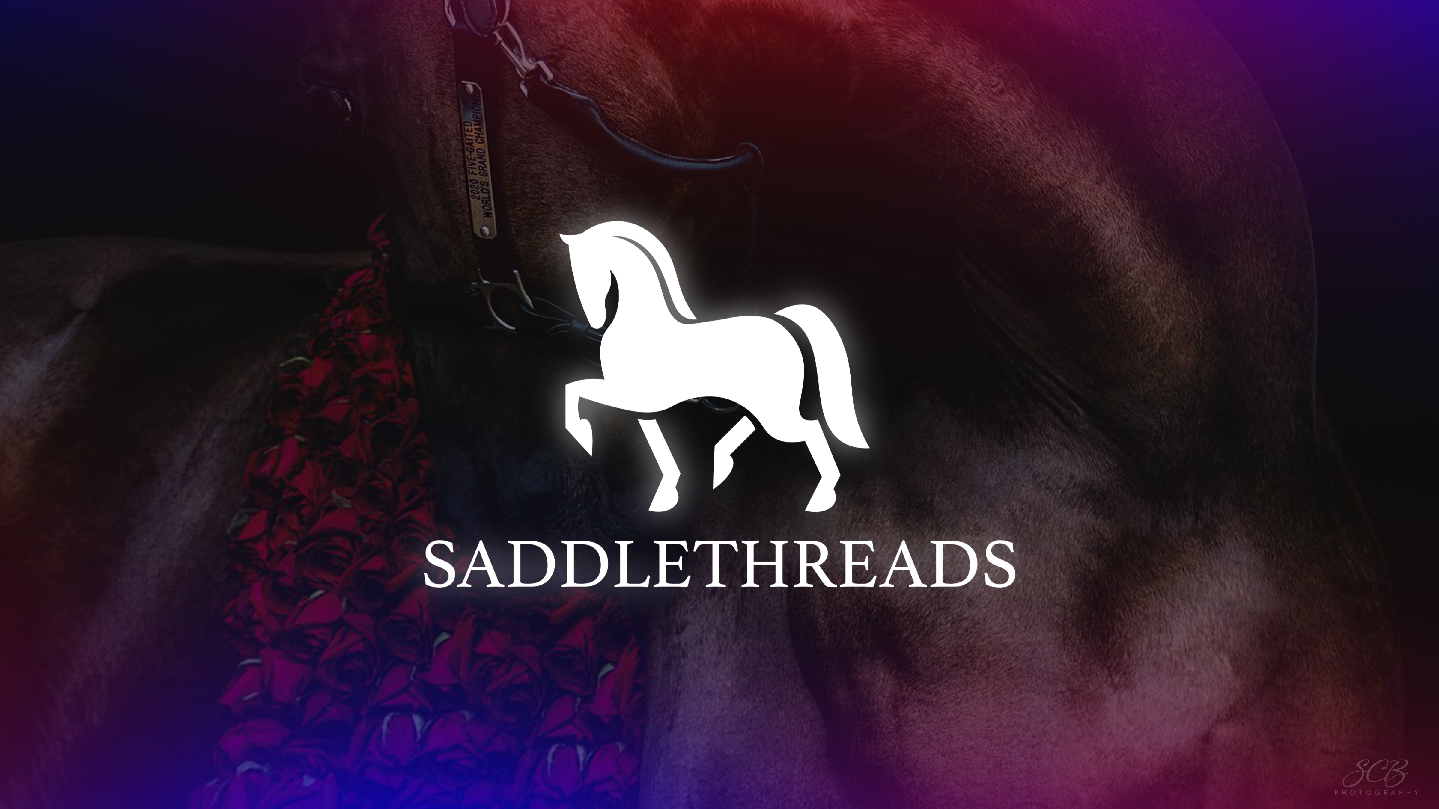 Stable Stores – Saddlethreads