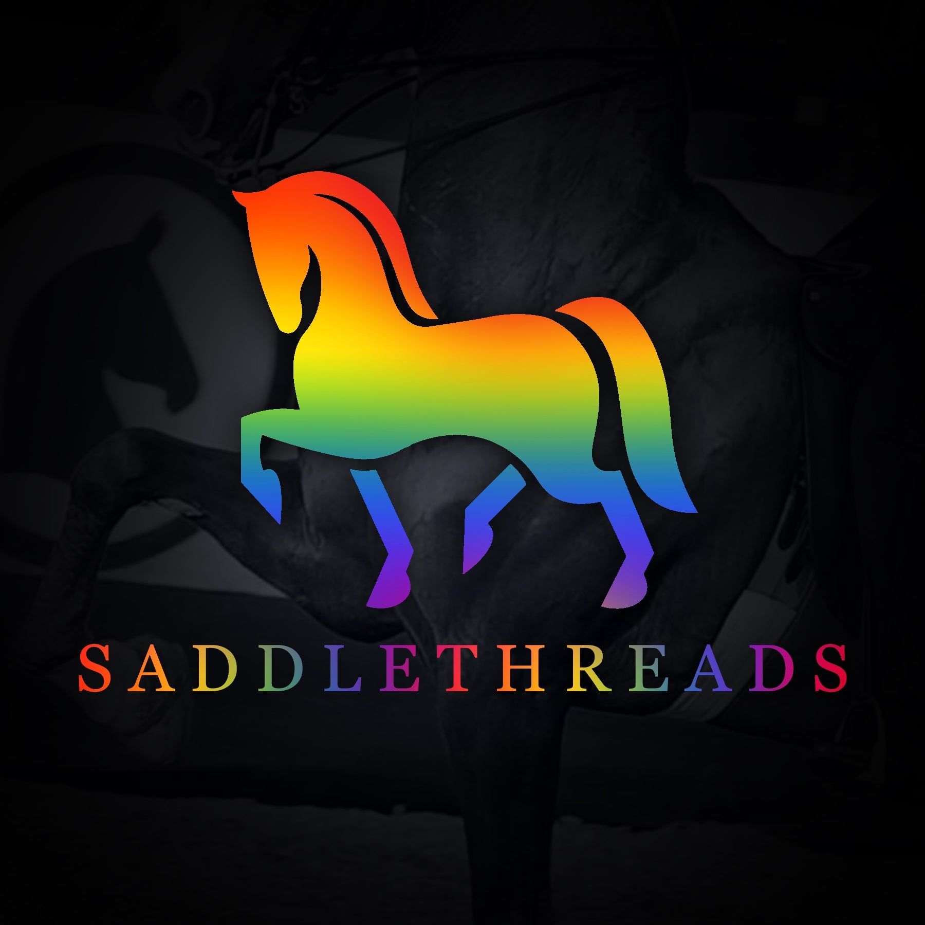 Best of 2024 – Saddlethreads