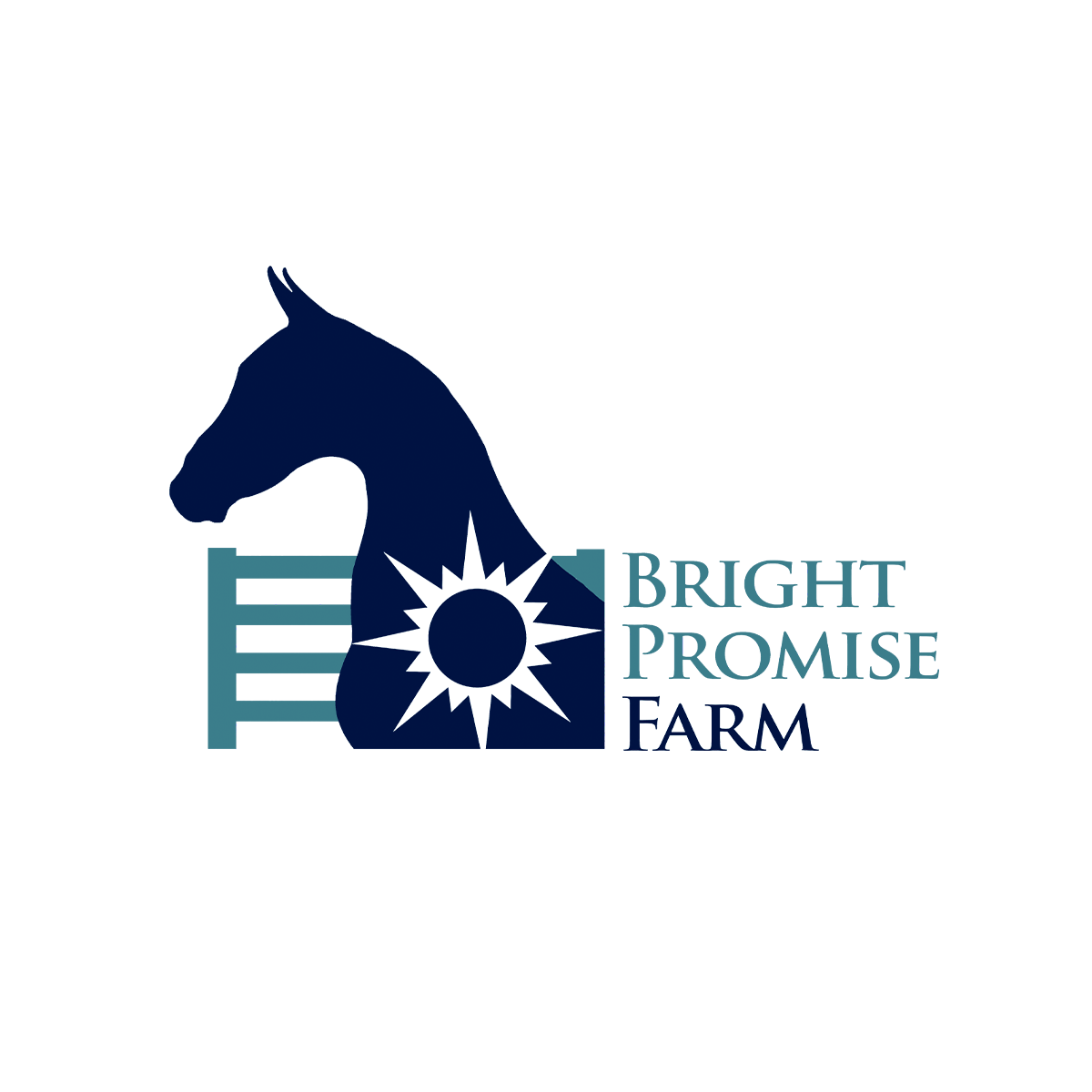Bright Promise Farm – Saddlethreads