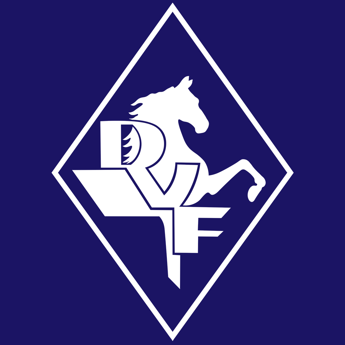 Diamond View Farm – Saddlethreads