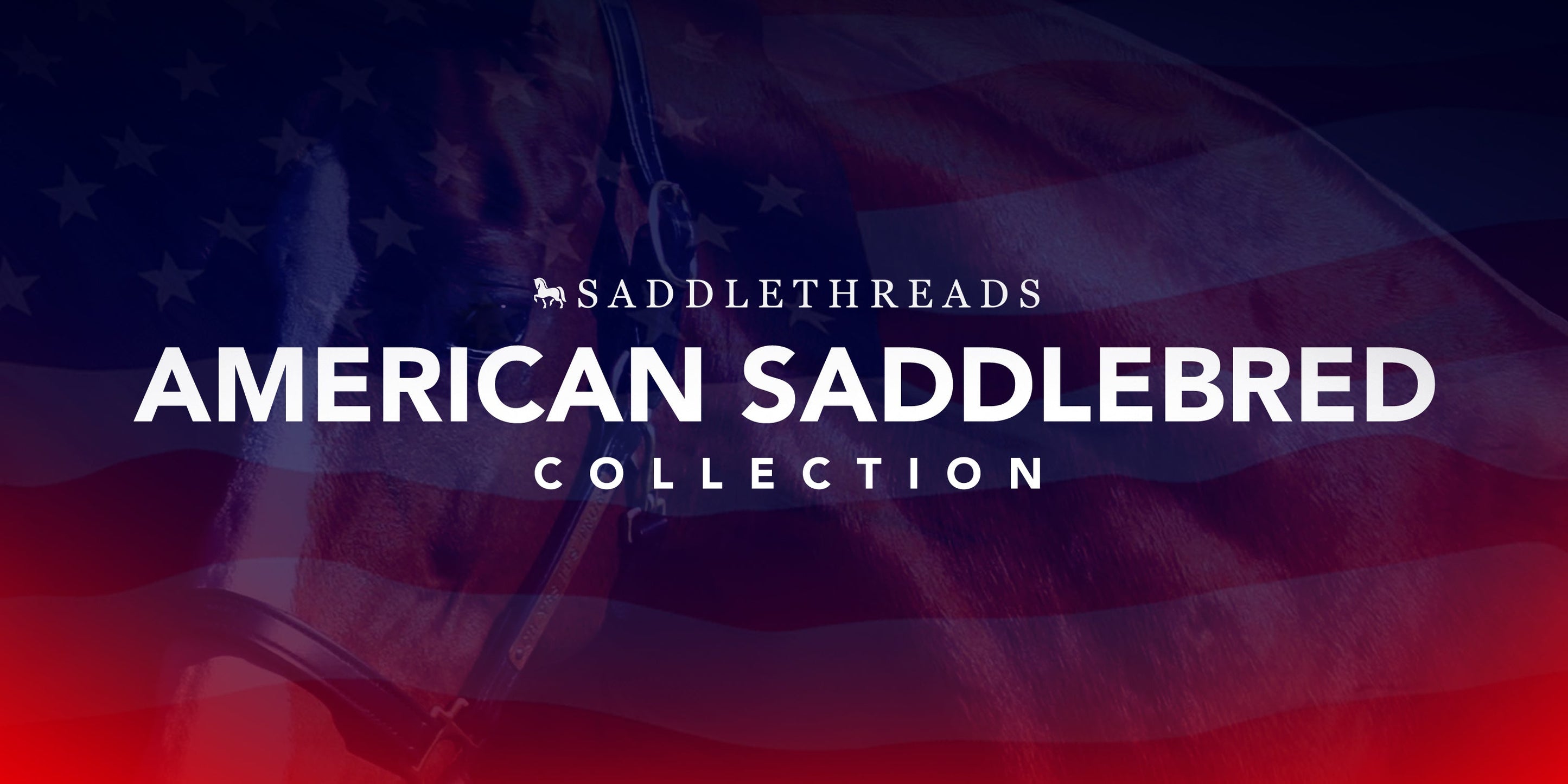 American Saddlebred Collection – Saddlethreads