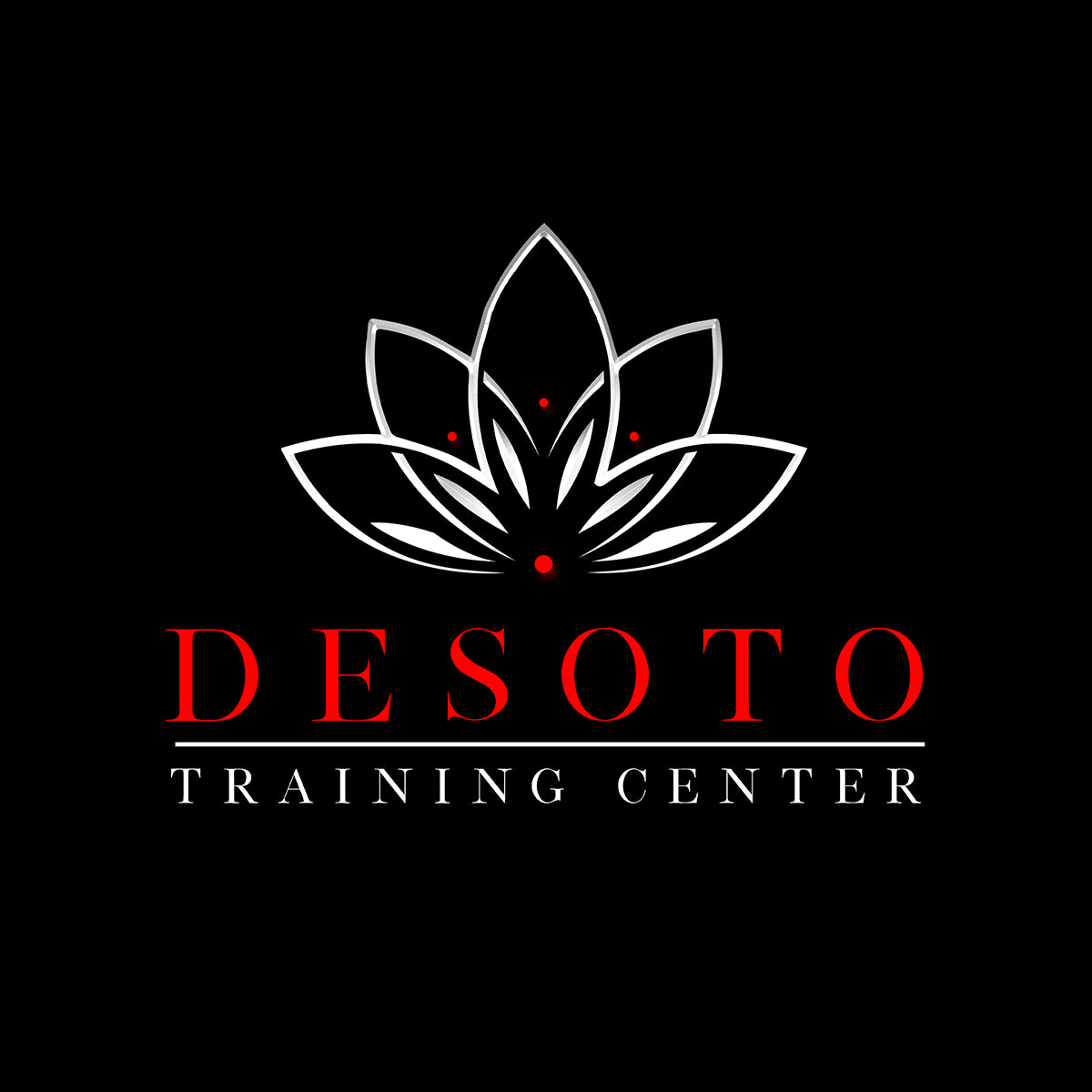 DeSoto Training Center – Saddlethreads