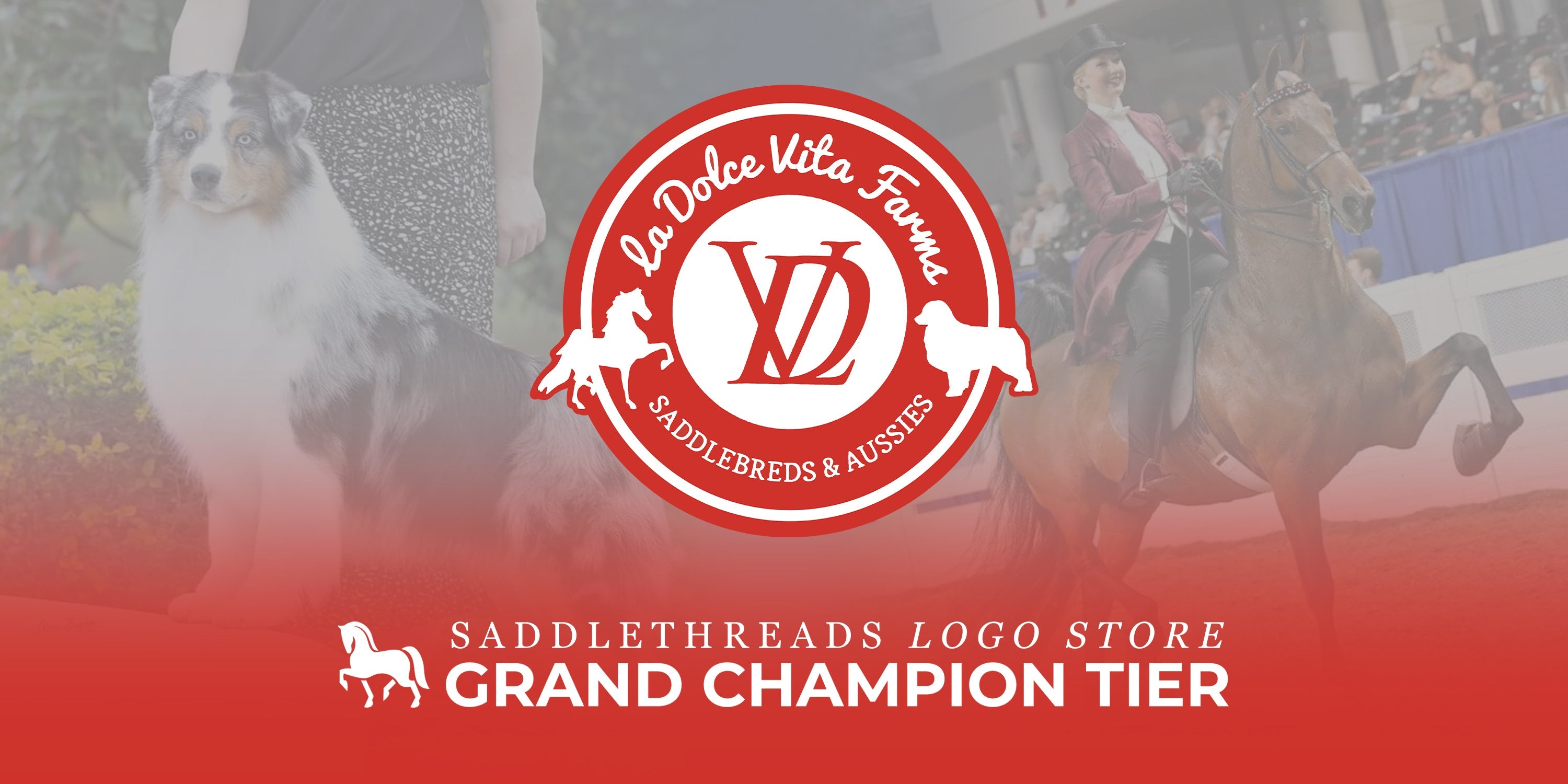 La Dolce Vita Farm – Saddlethreads