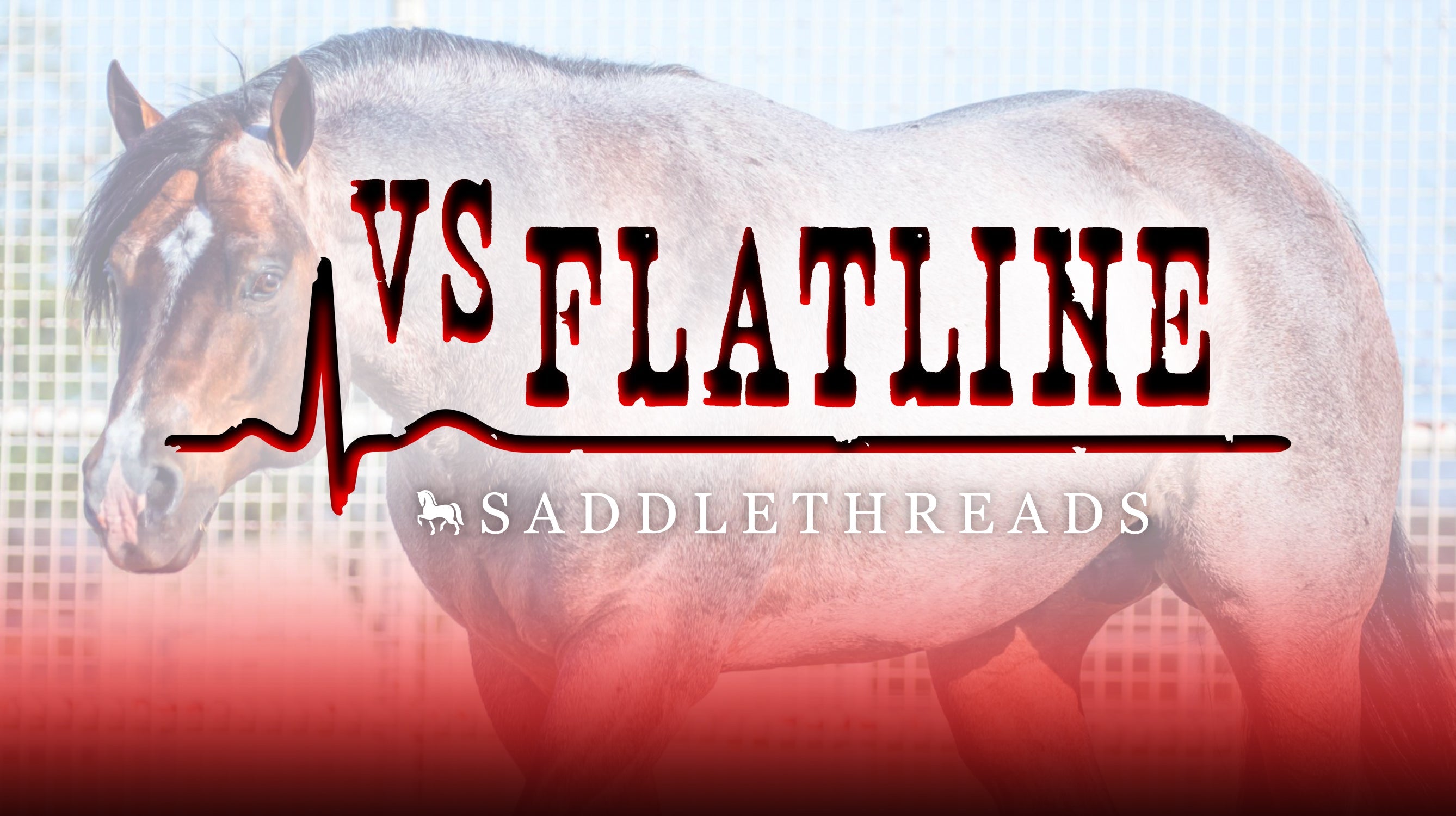 VS Flatline – Saddlethreads