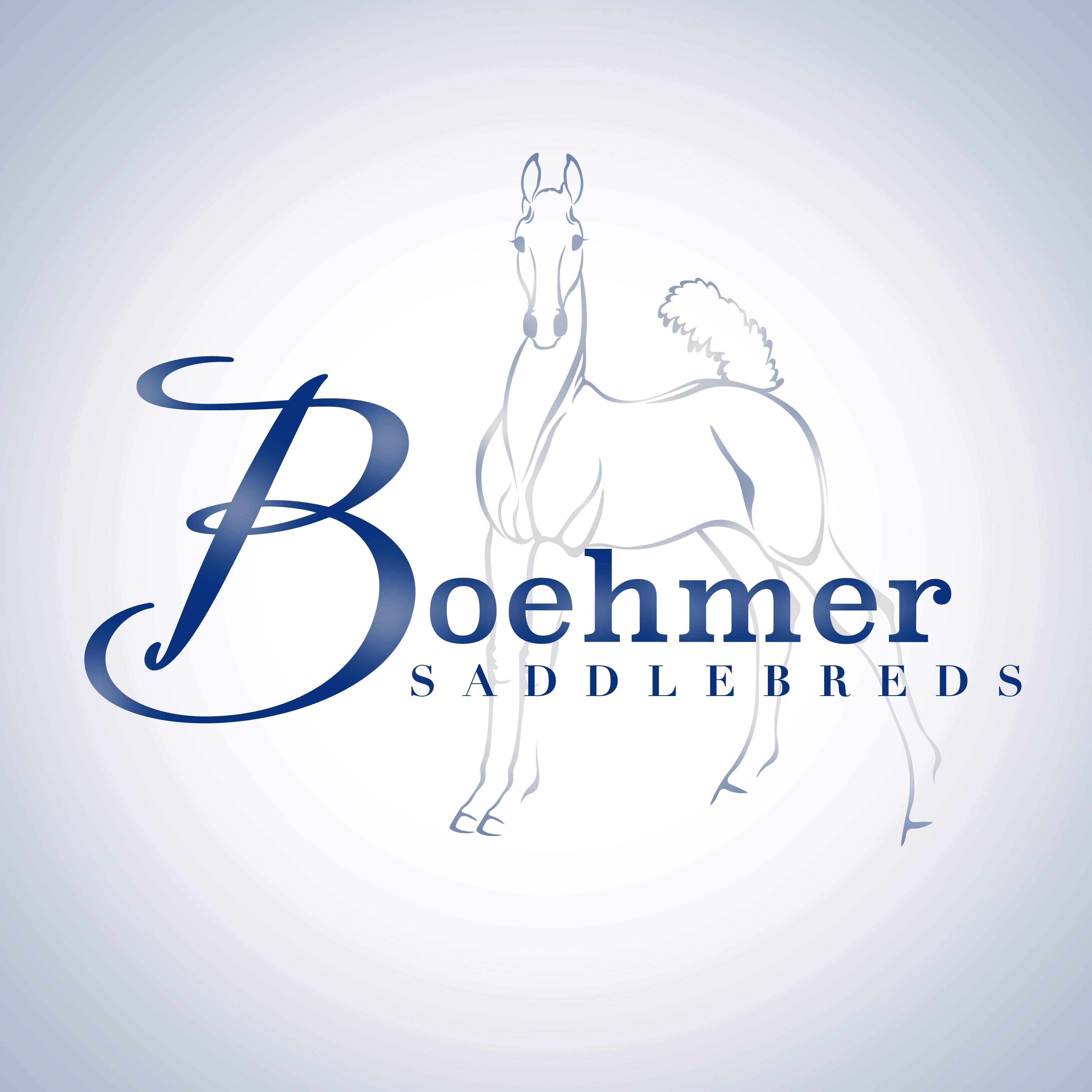 Boehmer Saddlebreds 2026 Media Plan – Saddlethreads